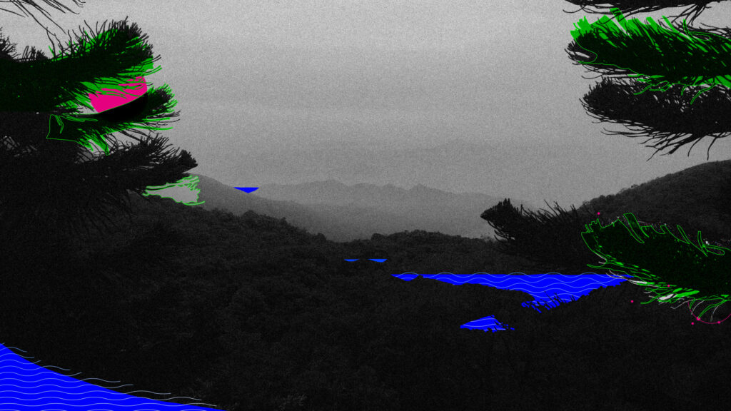 杉悟觀點 | 杉悟互動 Salute Interactive